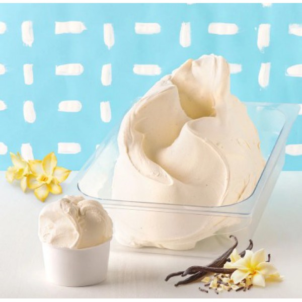 01626 PREGEL VANILLE ZERO 1.1kg